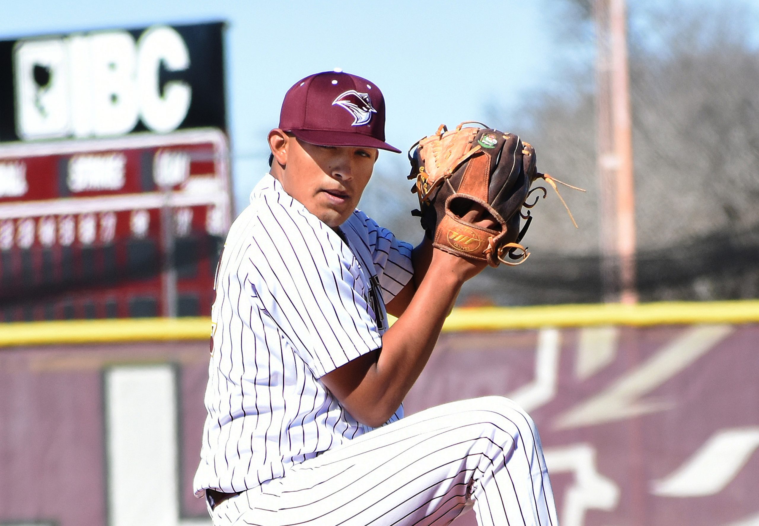 Baseball team off to strong start – The Bridge News