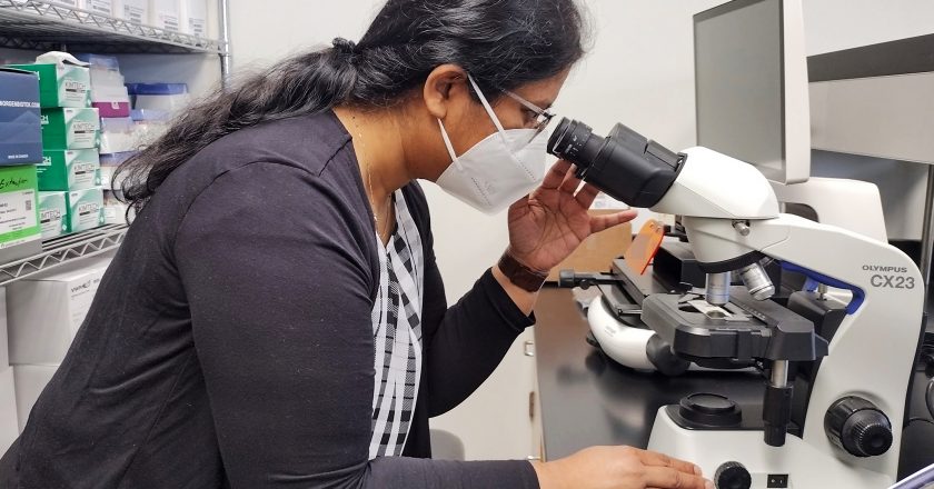 Professor Profile – The Bridge News